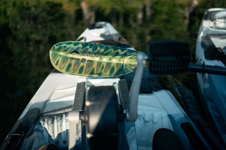 Exciting New Kayak Paddle Upgrades for 2026 – Bending Branches